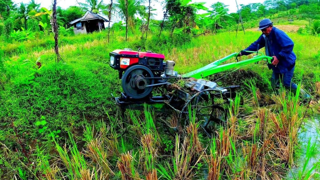 Cara Kerja Traktor Sawah, Penggerak Utama Pertanian Modern